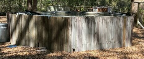 How To Turn Your Swimming Pool Into A Pond - Road to Reliance