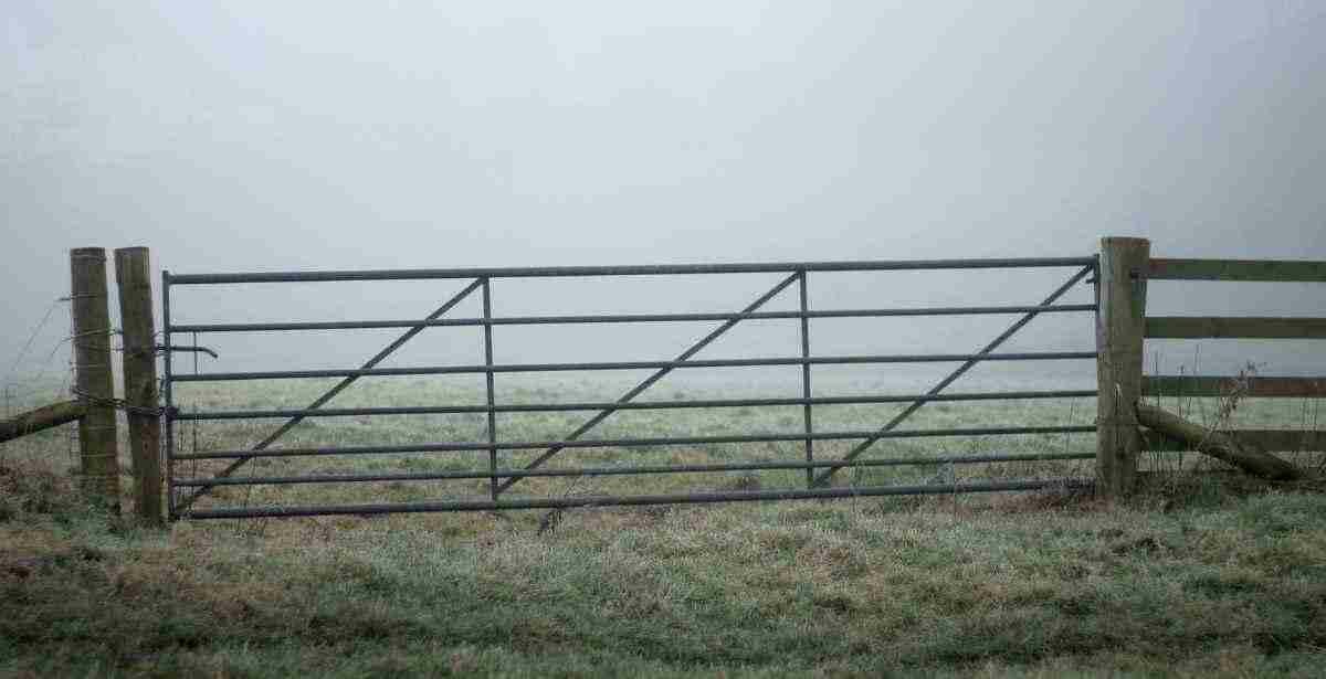 5 Types of Cattle Gates - Road to Reliance